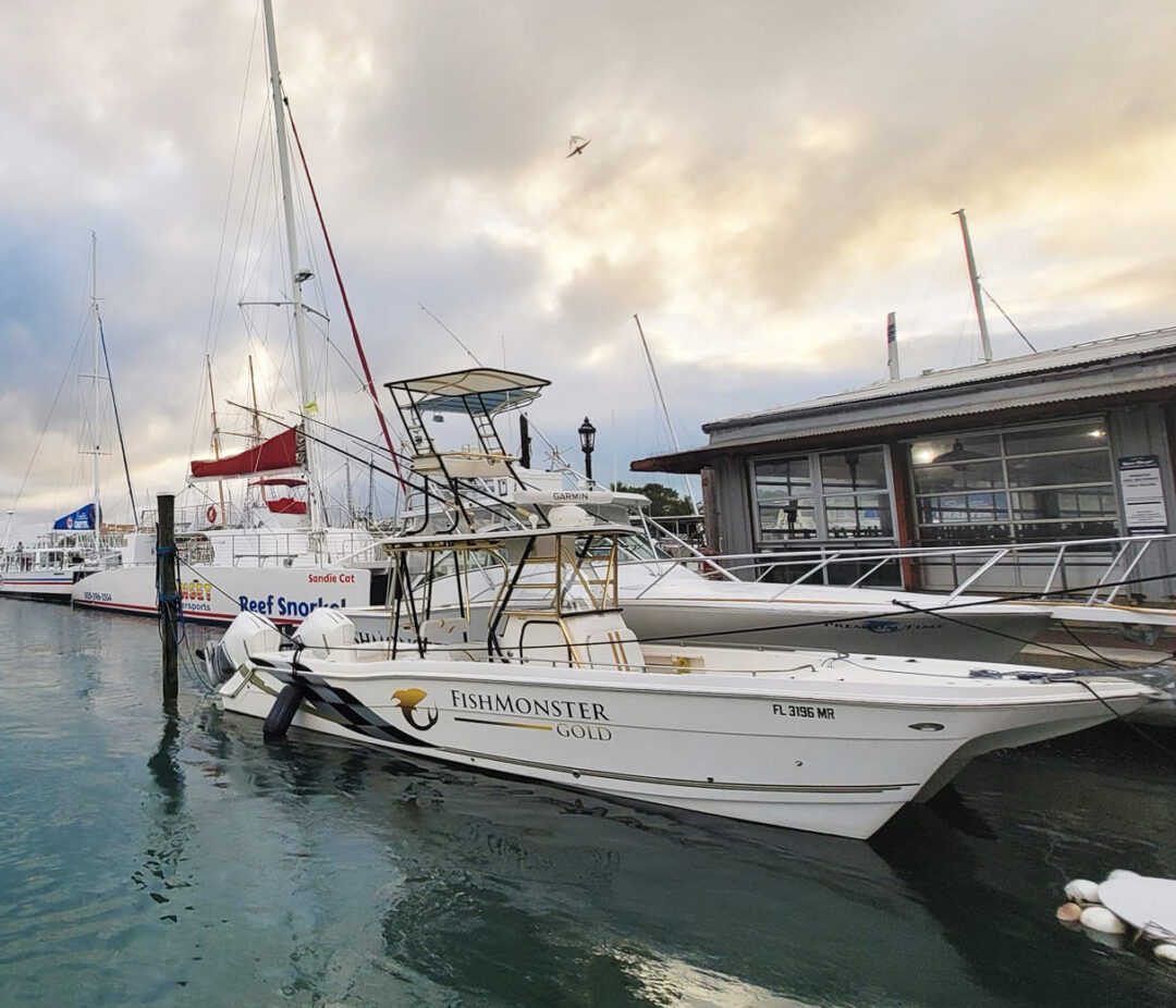 FishMonster Gold - Fishmonster & Island Jane